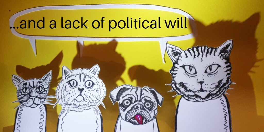 Political will…… – JOAN’S JOURNEY CONTINUES